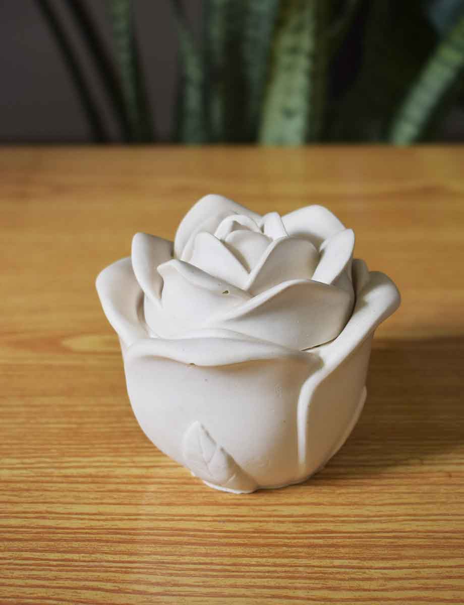 Rose Pot – PLANTSNOBPK